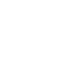 Wise Capital Partners | Multi-Stage Private Equity Fund